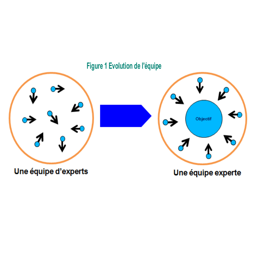 La HAS généralisera l'amélioration du travail en équipe malgré une ...