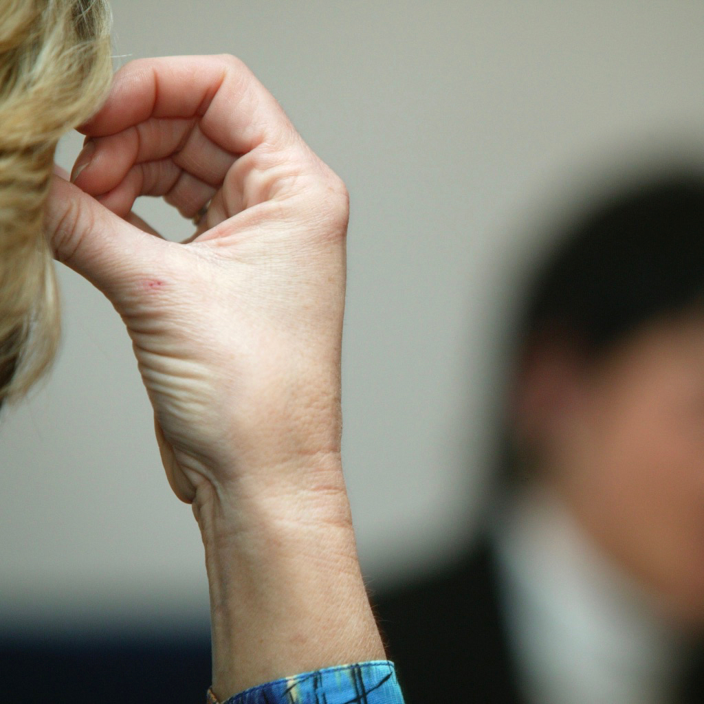Anne-Marie Armanteras-de Saxcé rejoint l'Élysée sur la santé, le grand ...